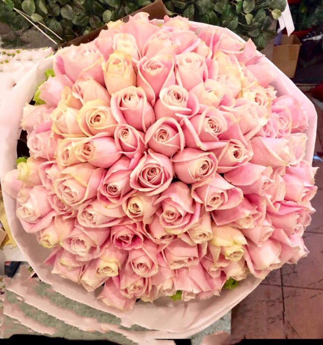 Roses – Cheers Floral & Gift Services